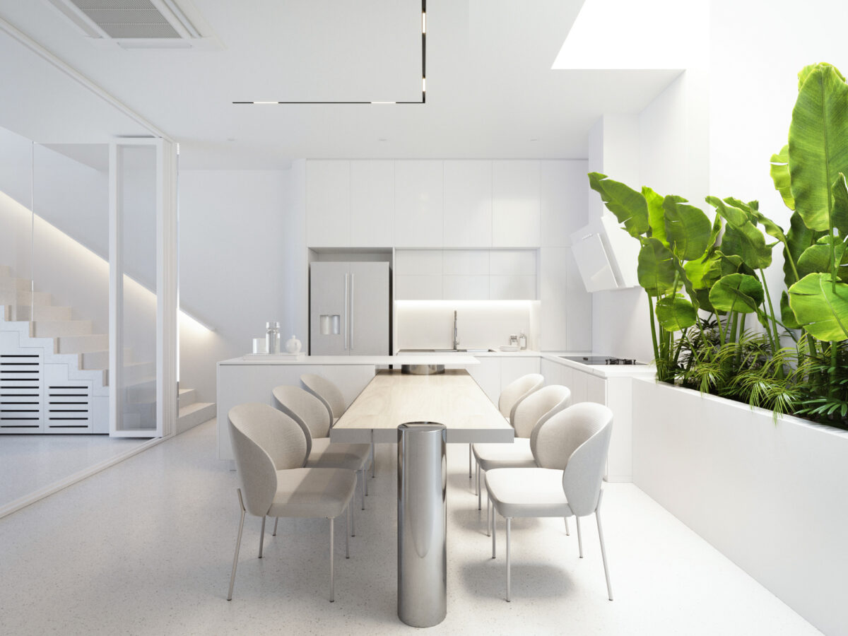 Dom House | PAU Architects